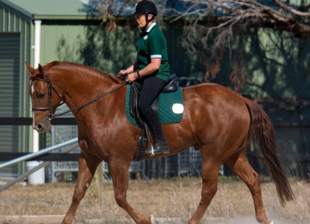 SURF COAST RIDING CLUB – Horse riding club/near me/registered HRCAV